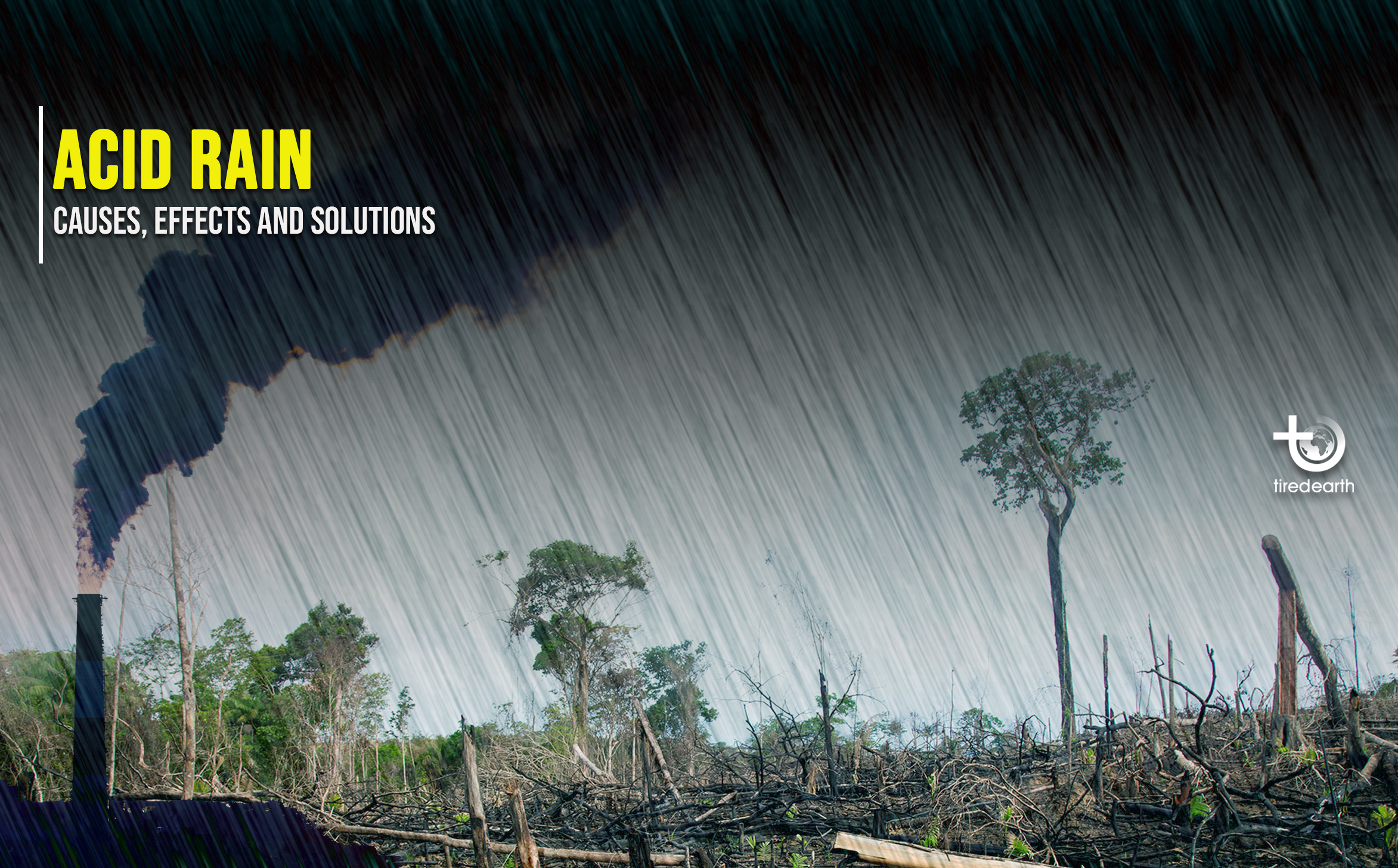 Acid Rain: Causes, effects and solutions